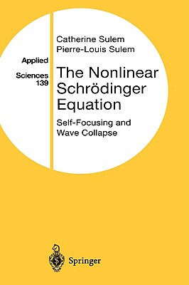【预售】The Nonlinear Schr Dinger Equation: Self-Focusing