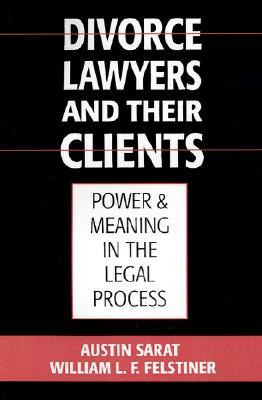 【预售】Divorce Lawyers and Their Clients: Power and Meaning