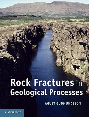 【预售】Rock Fractures in Geological Processes