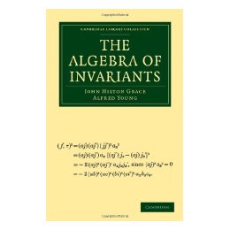 【预售】The Algebra of Invariants