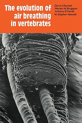 【预售】The Evolution of Air Breathing in Vertebrates