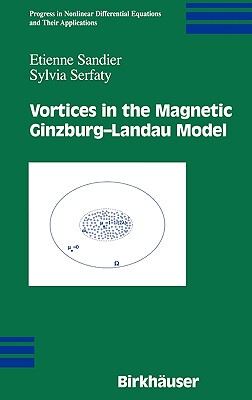 【预售】Vortices in the Magnetic Ginzburg-Landau Model