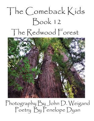 【预售】The Comeback Kids, Book 12, the Redwood Forest
