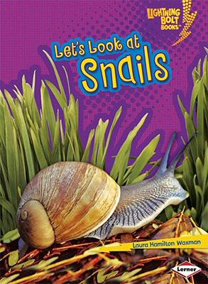 【预售】Let's Look at Snails