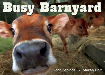【预售】Busy Barnyard