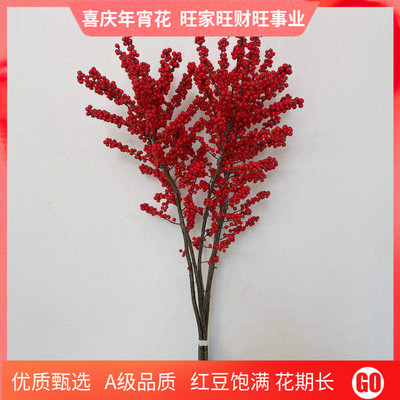 北美冬青喜庆富贵籽落地年宵花