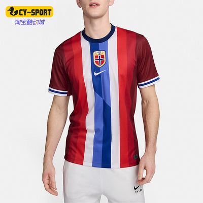 Nike/耐克男士短袖球衣