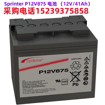 Sprinter P12V875 电池 12V/41Ah 用途 直流屏不间断电源通信基站