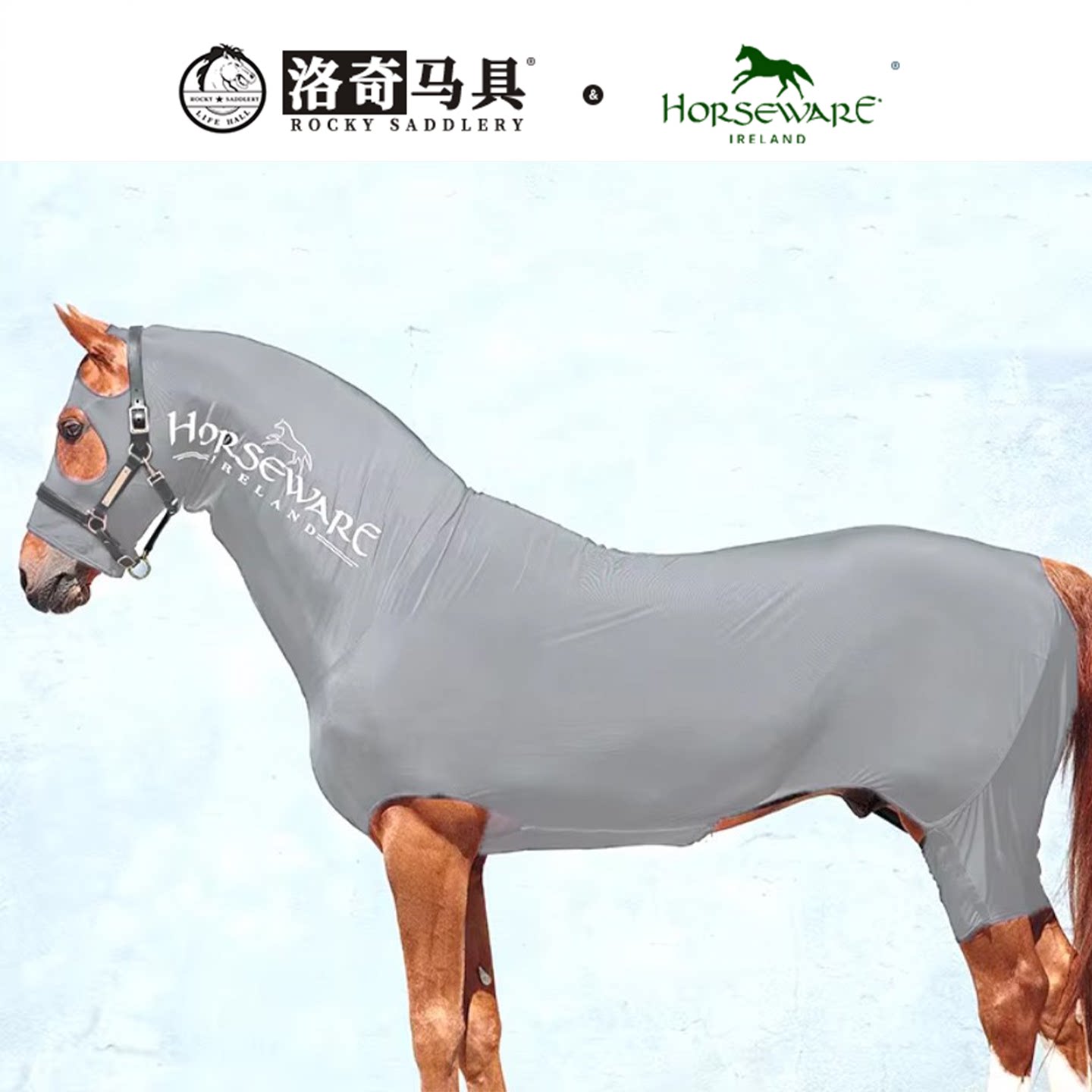 爱尔兰Horseware运输展示马衣运输防护马衣8219040