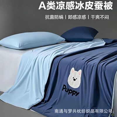 Washable Cool Ice Silk ThinQuilt Kids Conditioning Blanket