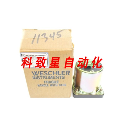 工业配件WESCHLER BG241 4B3H5RBC1XXPTXX 0-100C