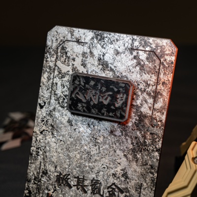 人民万岁语录合集碳纤维士气章