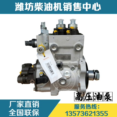 潍柴动力WP6 WP12发动机柴油机电喷博士共轨高压油泵612640080015