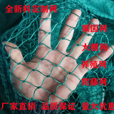 防鸟网大棚鱼塘樱桃果树