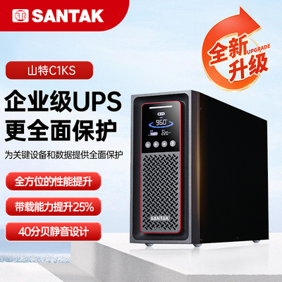 山特正品C1KC2KC3K在线式