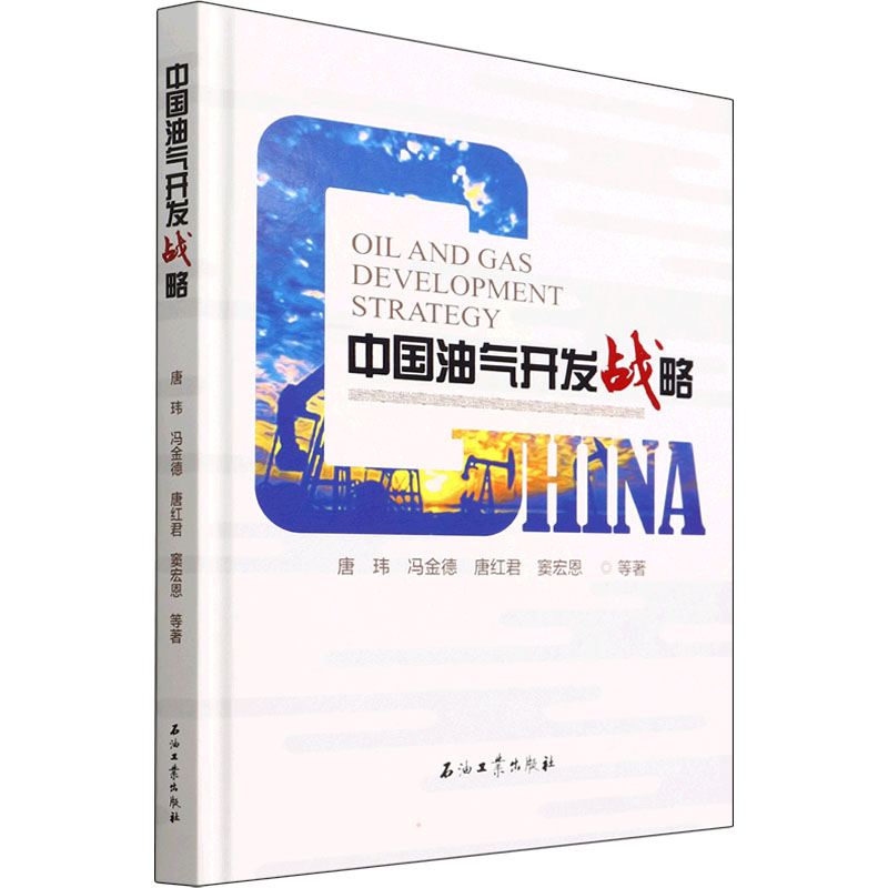 正版现货 中国油气开发战略 唐玮 等 著 石油工业出版社 石油 天然气工业