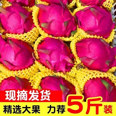 广西红心火龙果5斤大果金都一号皮薄肉厚甜蜜多汁新鲜应季水果