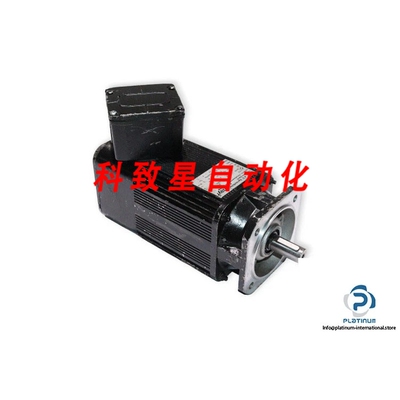 工业配件MAYR SYSTEME 63/M40.005.1 伺服电机同步-63M40051
