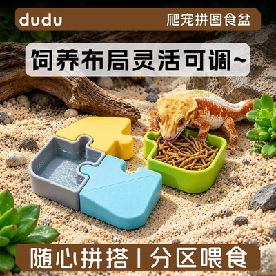 爬宠喂食碗趣味拼图食碗自由搭配蜥蜴守宫蛇类角蛙喂食喂水食盆