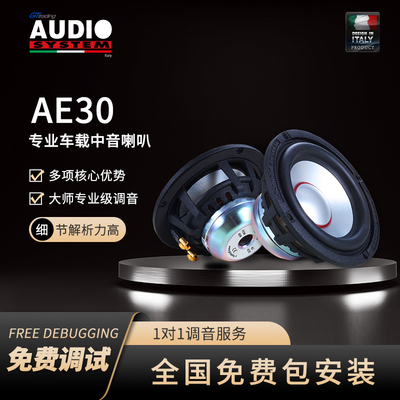 汽车音响改装意大利音乐系统AE30专业车载中音喇叭全国包安装