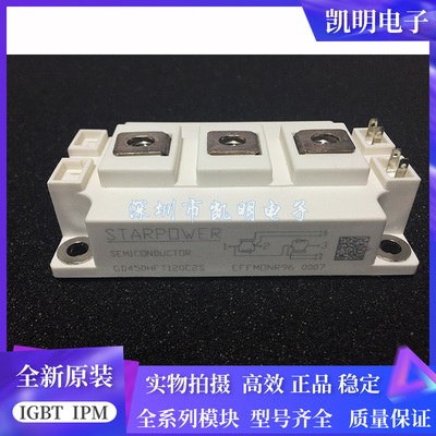 GD300HFL120C2S GD450HFY120C2S GD400HFT120C2SN GD450HFT120C2S