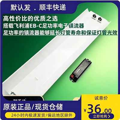飞利浦EB-C18W/30W/36W镇流器