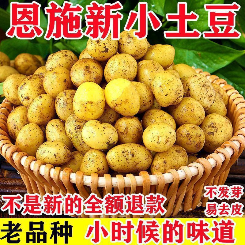 湖北恩施富硒黄心土豆新鲜米拉小土豆老品种食用农产品马尔科洋芋