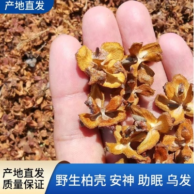 产地直销老年安神枕头柏壳填充