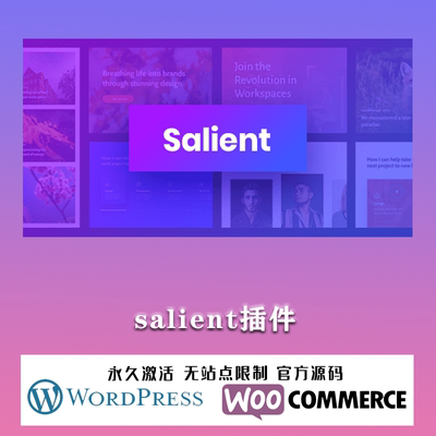Salient 汉化中文版|创意酷炫多功能响应式WordPress企业主题模板