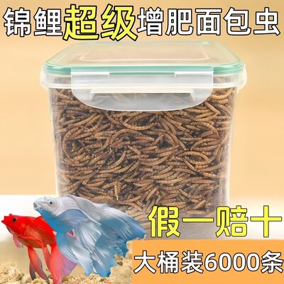 净重面包虫鱼类乌龟仓鼠鹦鹉零食