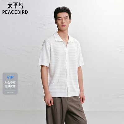 【商场同款】太平鸟男装 休闲Polo衫纯色宽松针织polo B2EDG2443