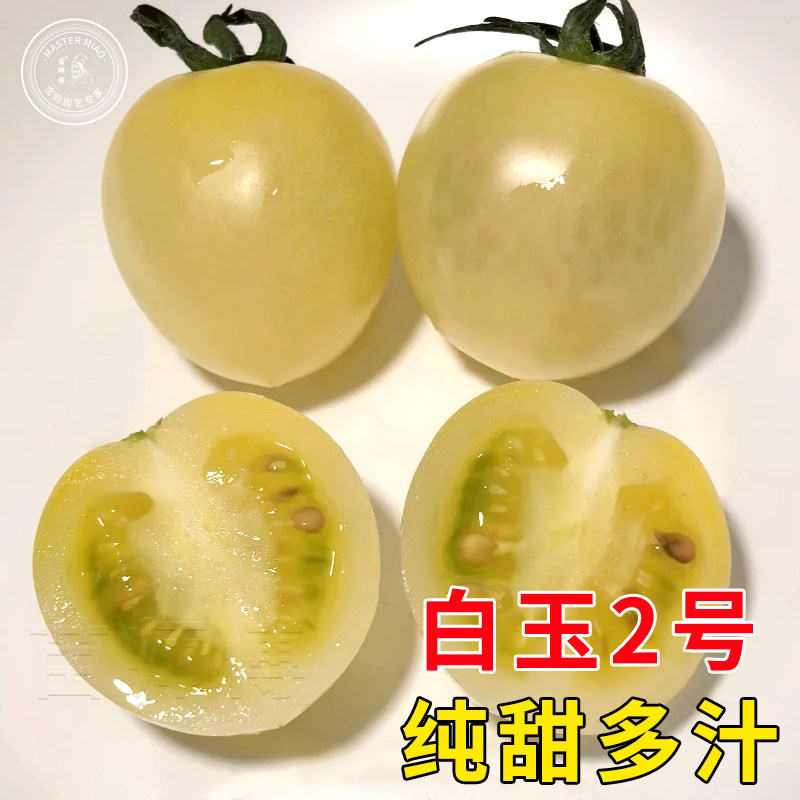梦想白玉番茄苗种子梦想青甜紫樱桃小番茄种籽圣女果蔬菜苗孑秧苗