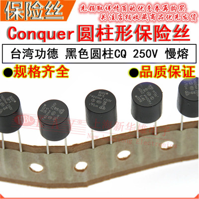 黑色圆柱保险丝管 T315MA 400MA 500MA 800MA 1A 1.25A 1.6A/250V