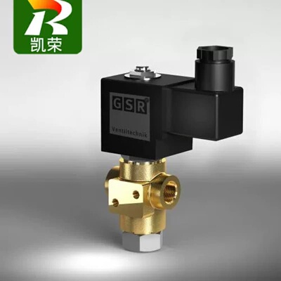售前询价GSR电磁阀线圈K0510139 DC205V G01604999 G075 7544A/10
