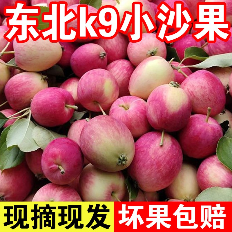 正宗东北特产K9沙果小苹果锦绣海棠果小沙果应季孕妇水果整箱包邮
