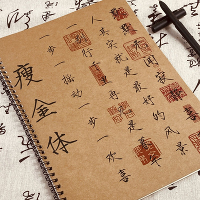 瘦金体女生男生金句文案励志语录土味情话古风文案漂亮大气练字帖