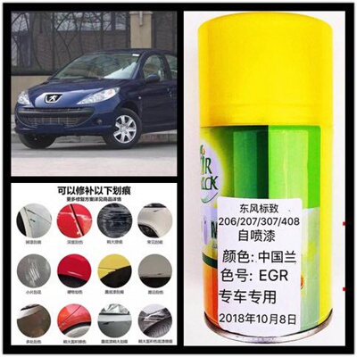 东风标致206/207/307/408汽车原车漆中国兰颜色自喷漆色号EGE专用