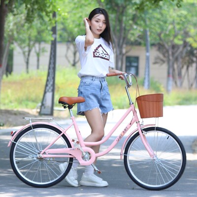 质比飞鸽永久凤凰价低质高诗博美