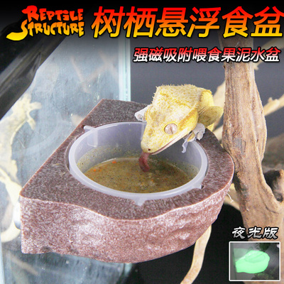 ReptileStruc爬虫树栖型