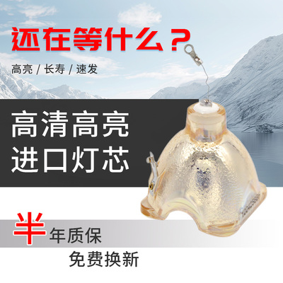 集大成适用于投影机灯泡质保半年