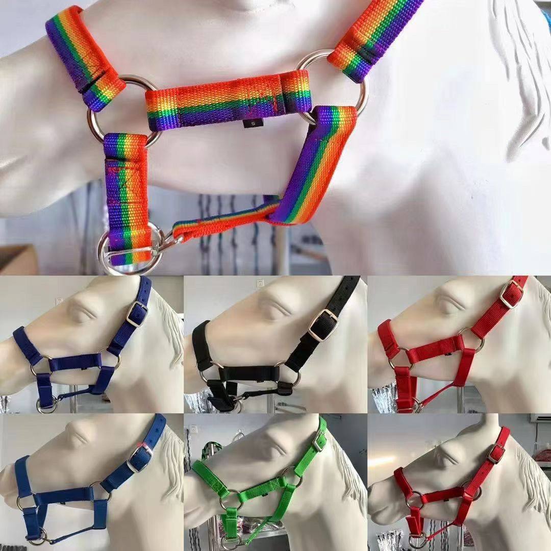 马术用品马具彩色马笼头马龙头牵马调教龙头牛驴笼套厂家直销潮流