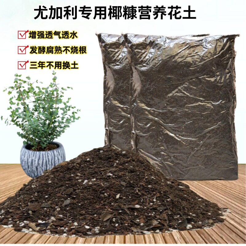 尤加利桉树苗专用营养花土庭院阳台盆栽绿植育苗扦插通用椰砖土壤