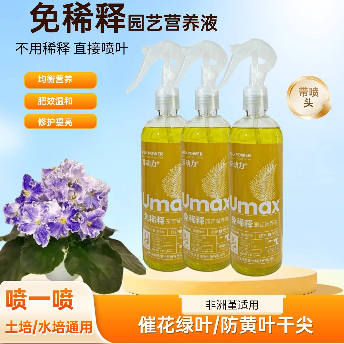 非洲堇重瓣非洲紫罗兰免稀释营养液室内阳台盆栽绿植专用喷叶面肥