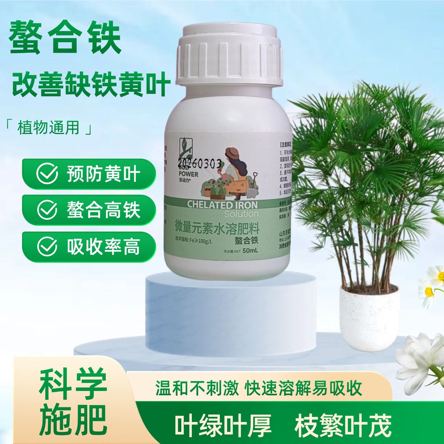 金山棕竹螯合铁营养液室内客厅细叶盆栽植物专用水溶花肥料补叶黄