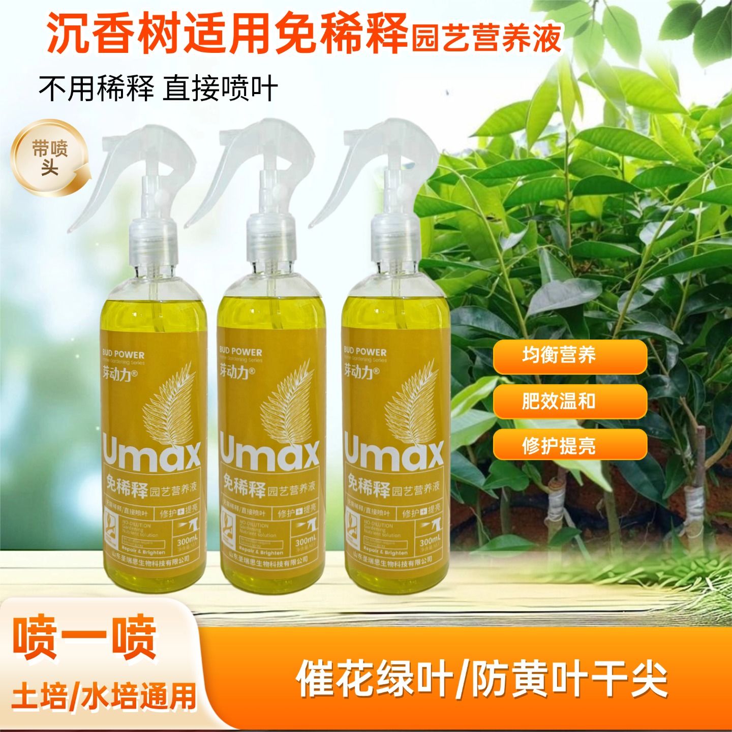 奇楠沉香树苗免稀释营养液庭院地栽盆栽植物专用氮磷钾水溶叶面肥