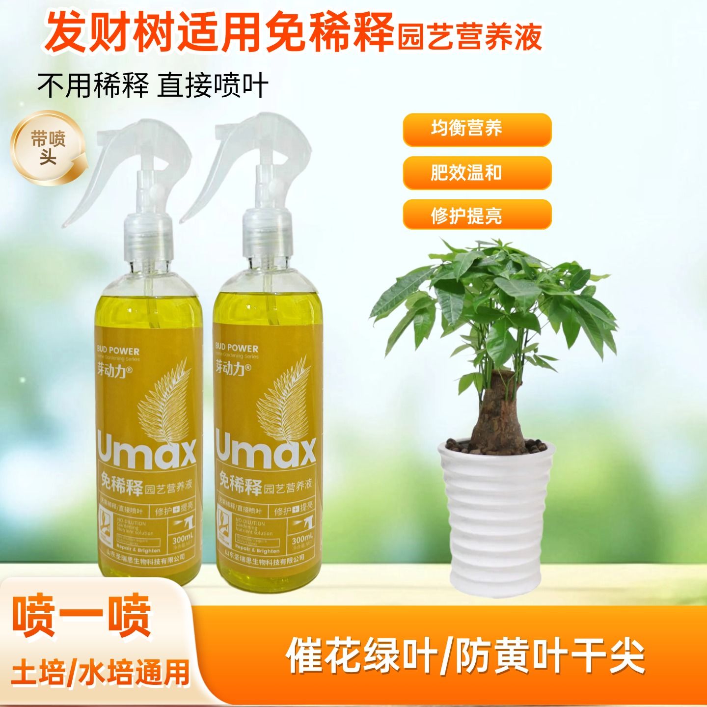 发财树免稀释营养液室内独杆三杆水培盆栽植物专用水溶直喷叶面肥