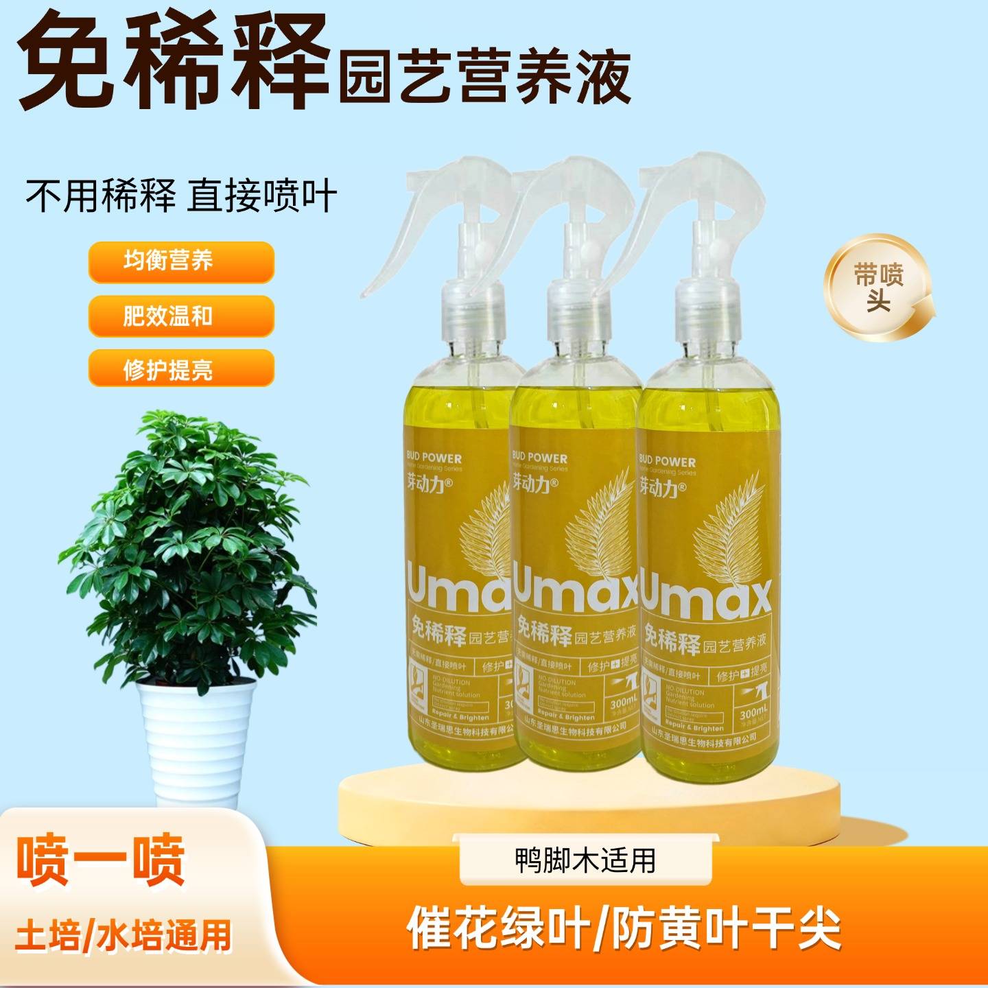 八方来财鸭脚木七叶莲免稀释营养液室内水培盆植物专用直喷叶面肥