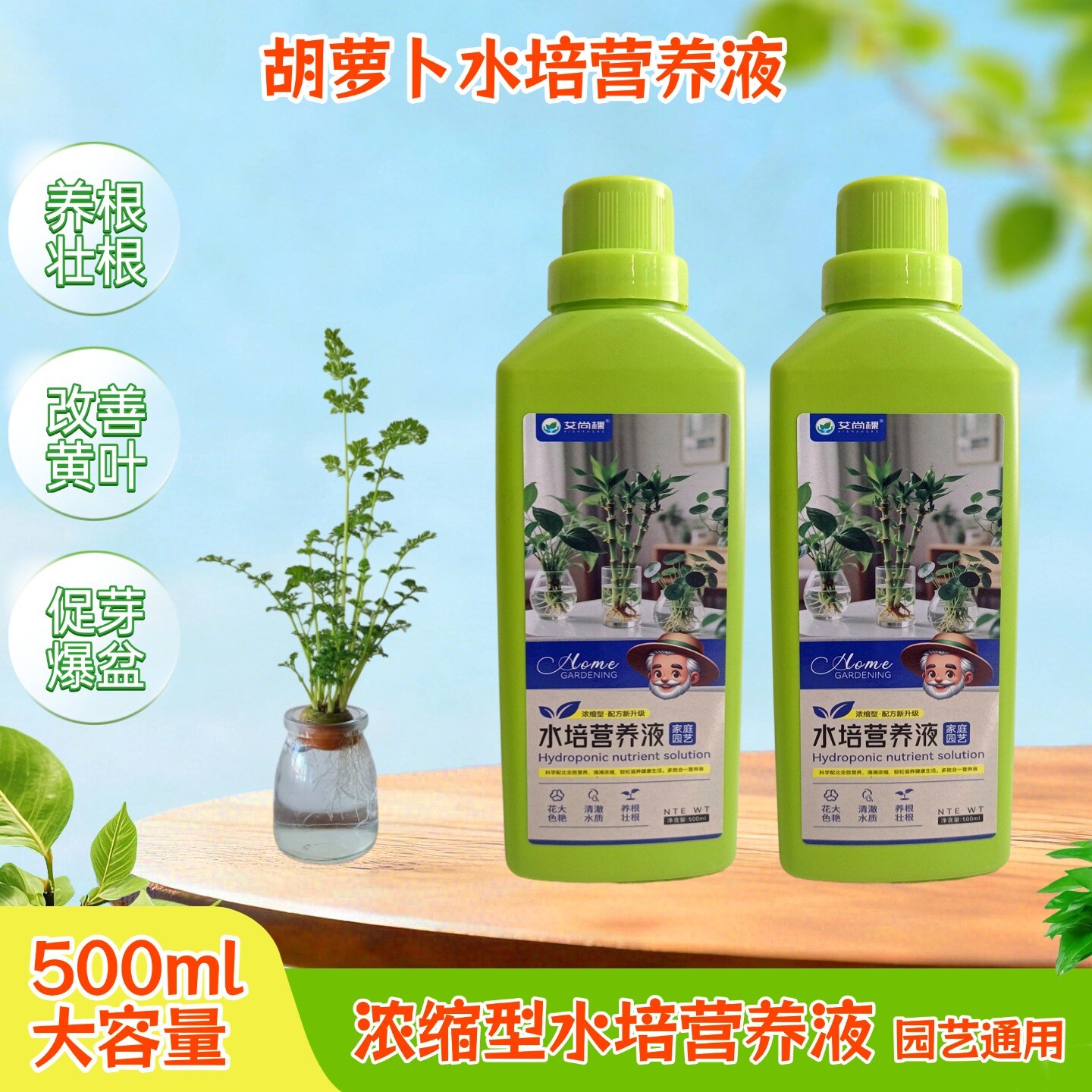 学生幼儿园胡萝卜水培专用营养液观察角日记萝卜盆栽蔬菜水溶肥料