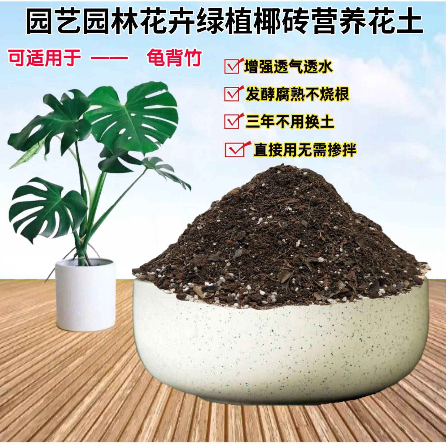 龟背竹营养椰砖土室内专用白锦仙洞大叶开背老桩盆栽绿植种植土壤