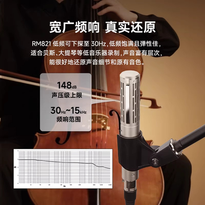 Alctron/爱克创RM821/822专业录音室舞台无源铝带话筒直播K麦克风